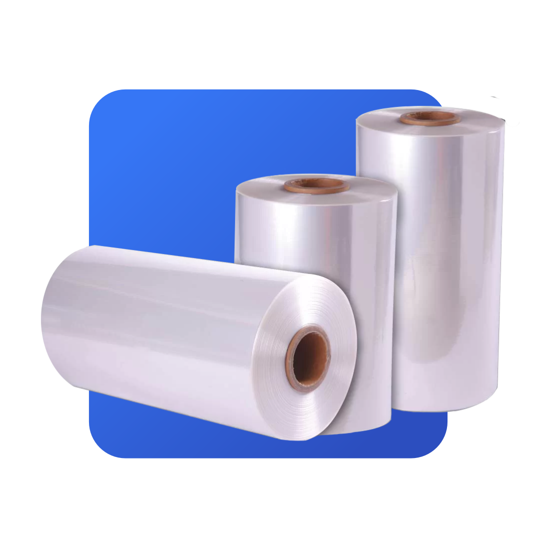 Filme PEBD – LasChicas